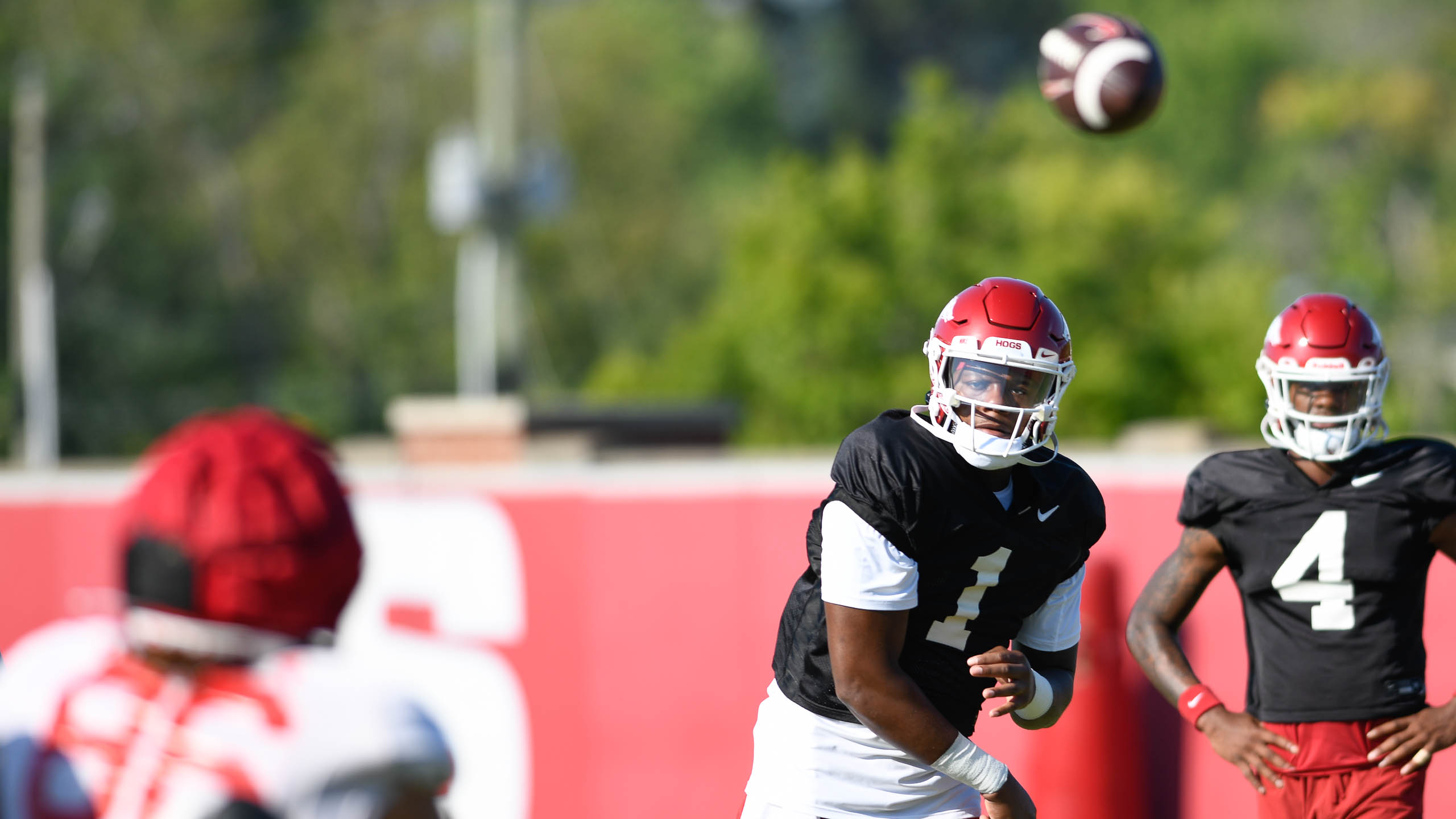 Hogs' quarterback named to watch list for Manning Award » Hit That Line ...