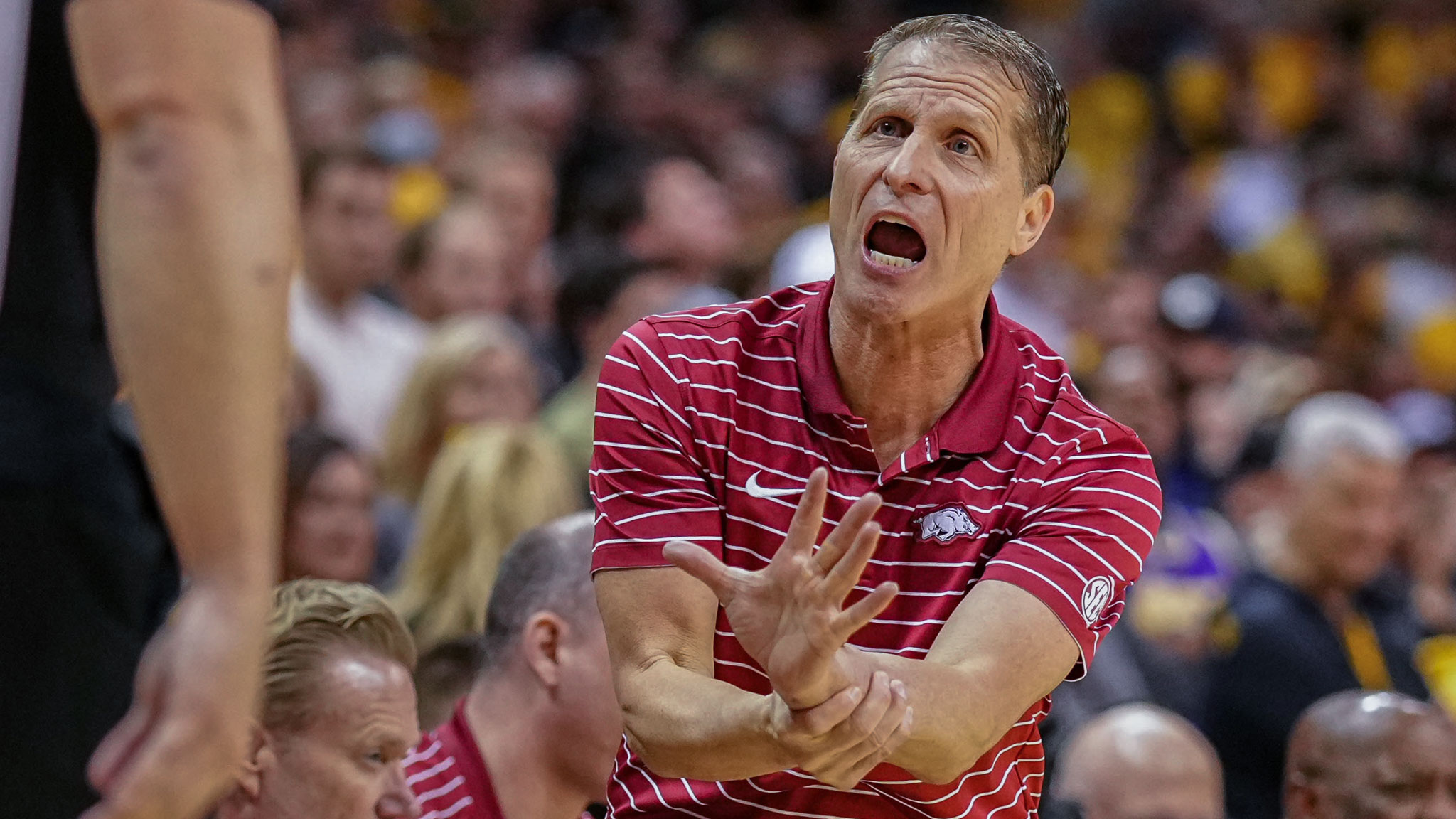 Pig Trail Nation's Mike Irwin on Razorback baseball, basketball ...